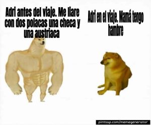 Hacer Meme de Perro fuerte y débil - Pintzap