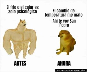 Hacer Meme de Perro fuerte y débil - Pintzap