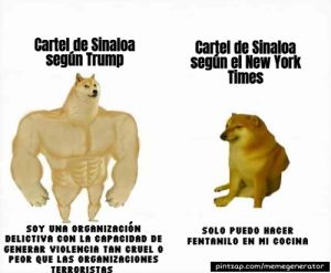 Hacer Meme de Perro fuerte y débil - Pintzap